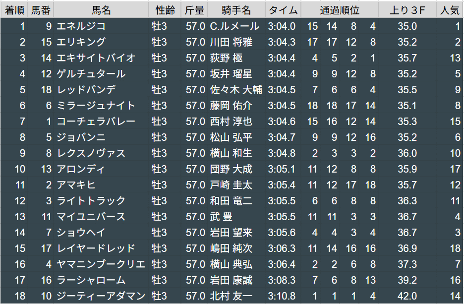 【AI分析】菊花賞（2025）レース回顧｜VRS18🐴