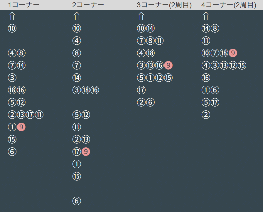 【AI分析】菊花賞（2025）レース回顧｜VRS18🐴