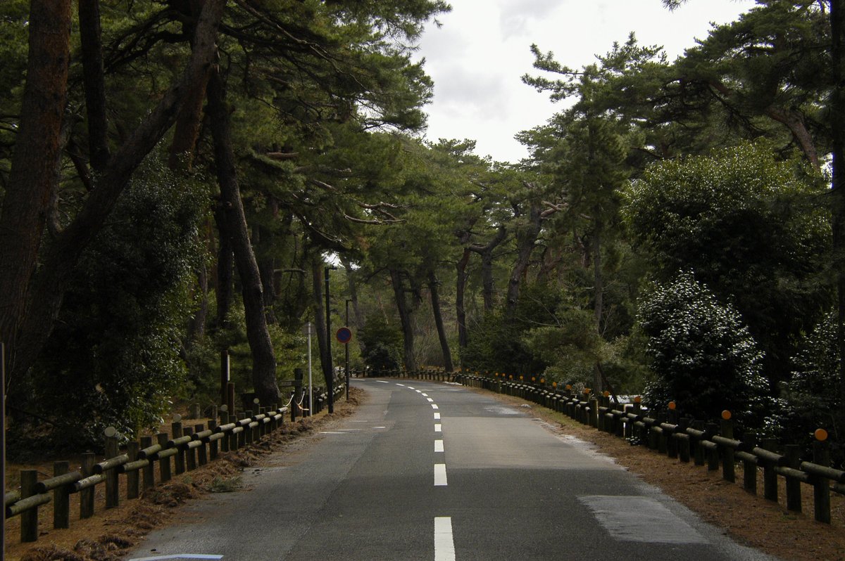 CCD機と戯れる - Nikon D100｜Daichi Okamoto