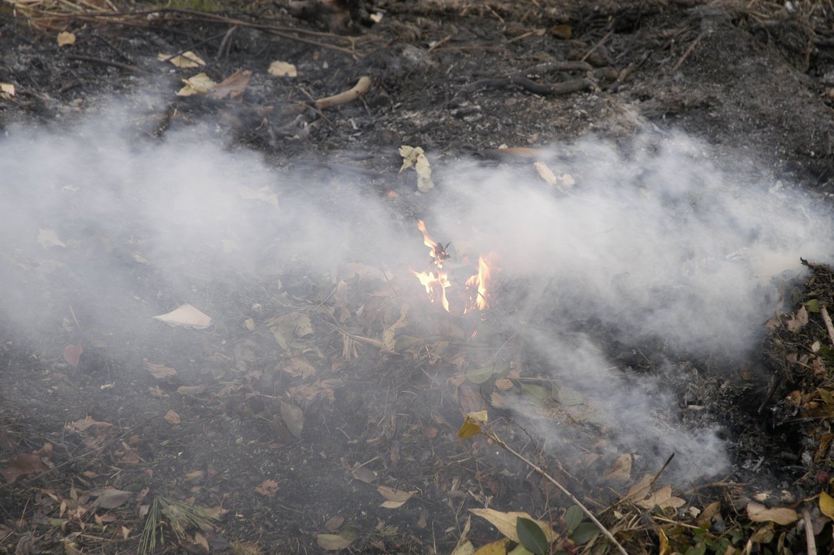 CCD機と戯れる - Nikon D100｜Daichi Okamoto