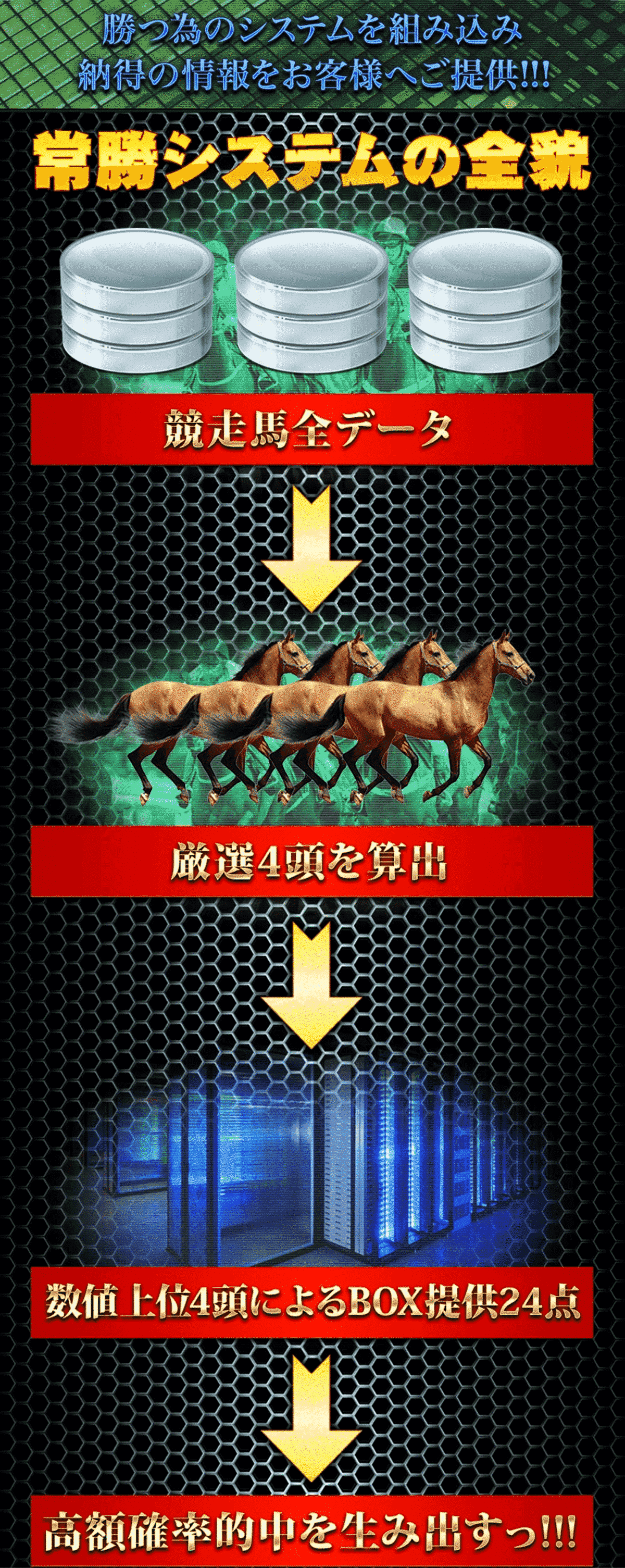 【24decipher】11/2 東京9R 14:25発走｜UMABIG