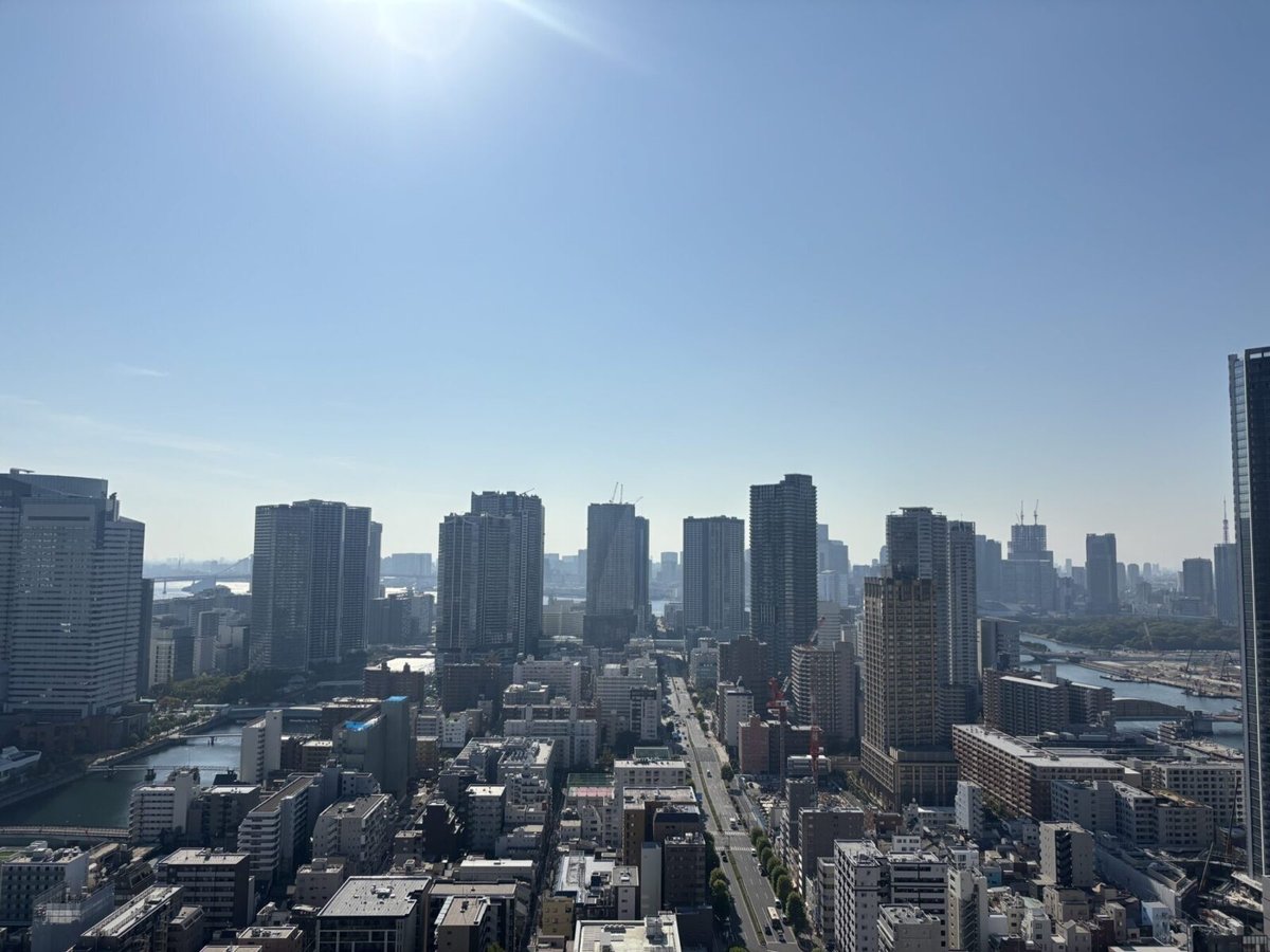 【仲介手数料30％OFF】ムーンアイランドタワー 38階最上階 南西向き 2LDK 58.84㎡｜エムティーハウス