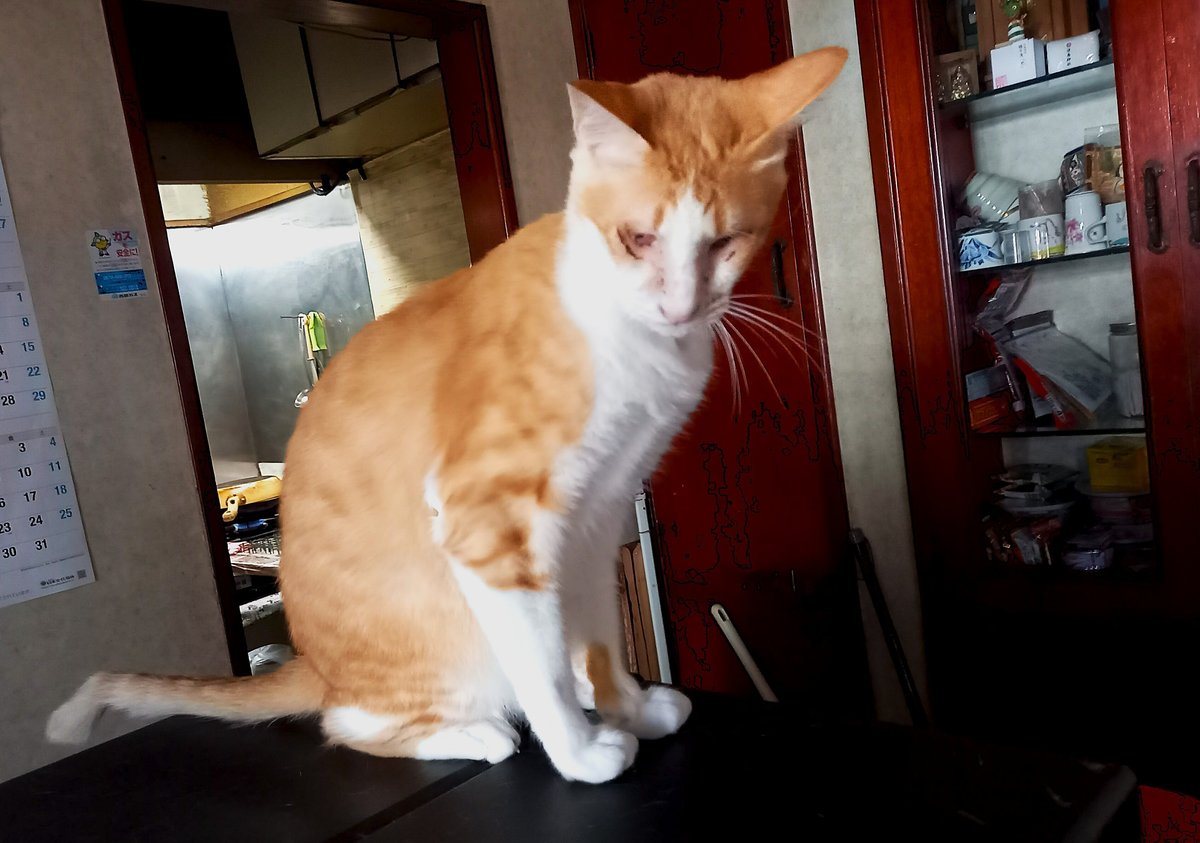 仲よくしようか(=^・^=)｜NPO法人あおぞら