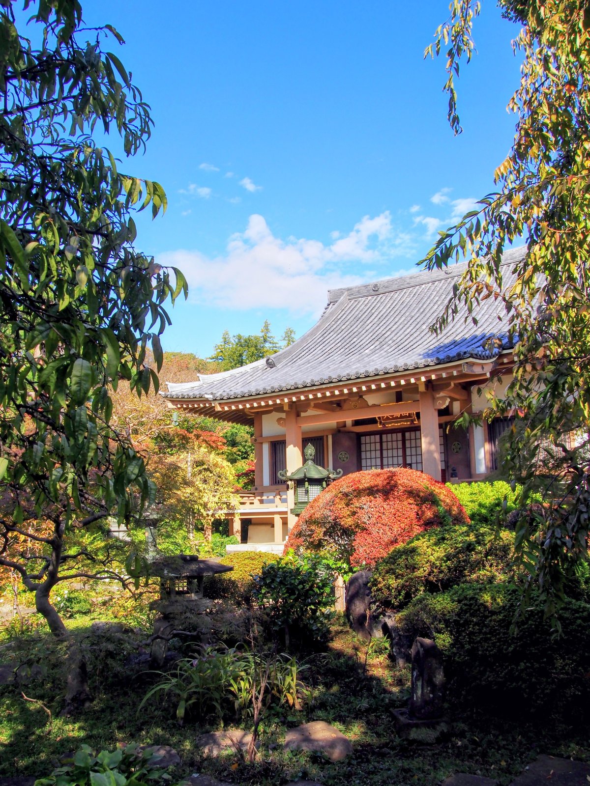 練馬区にひっそり佇む、正覚院の庭園。｜niwa_emon