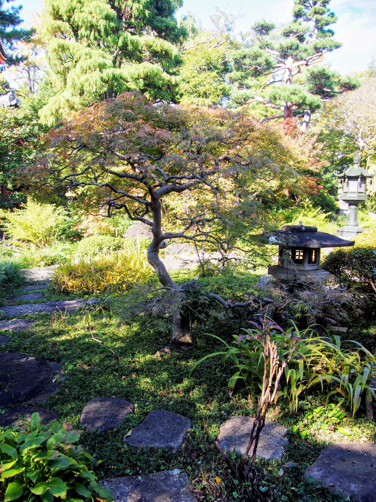 練馬区にひっそり佇む、正覚院の庭園。｜niwa_emon