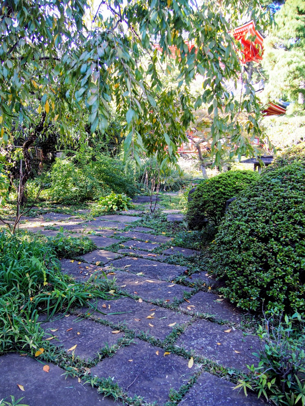 練馬区にひっそり佇む、正覚院の庭園。｜niwa_emon