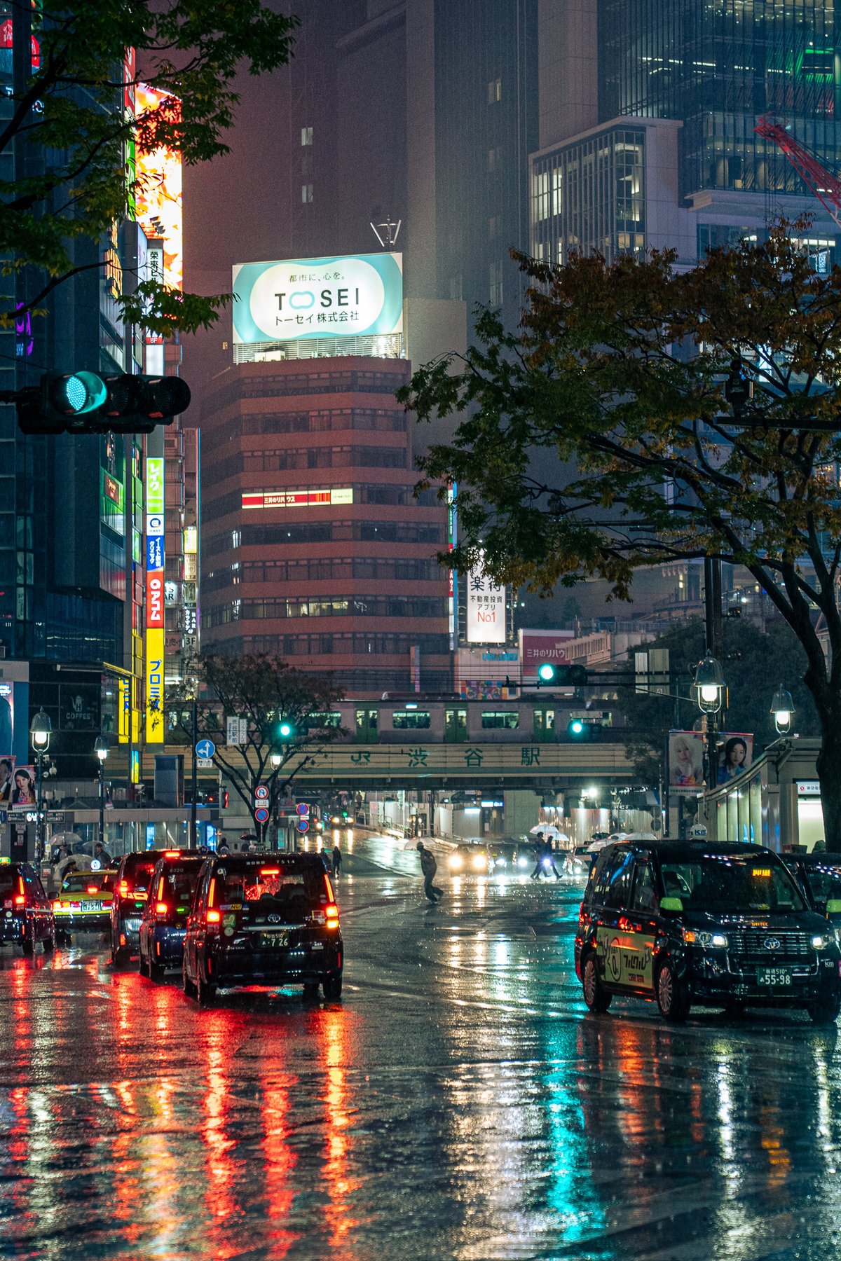 SONY FE 24-70mm F2.8 GM 長期使用レビュー｜ryoya_photo