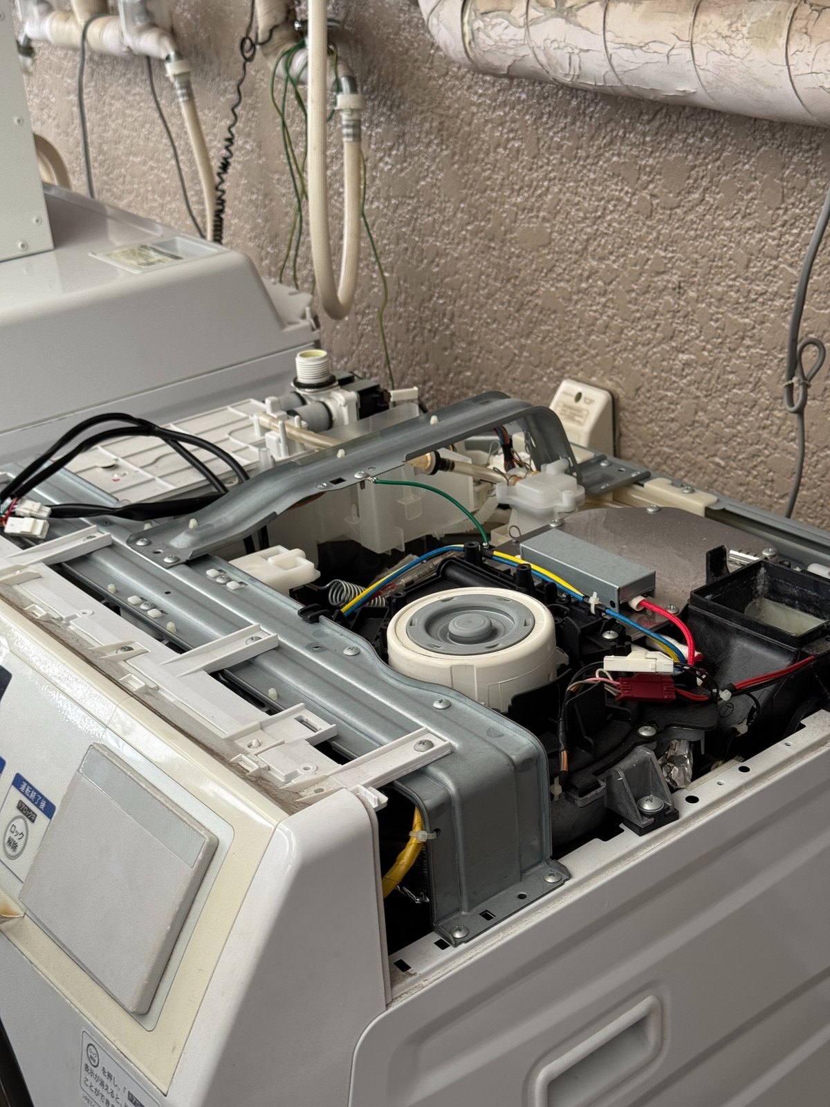 これもアフターケア？｜domhori