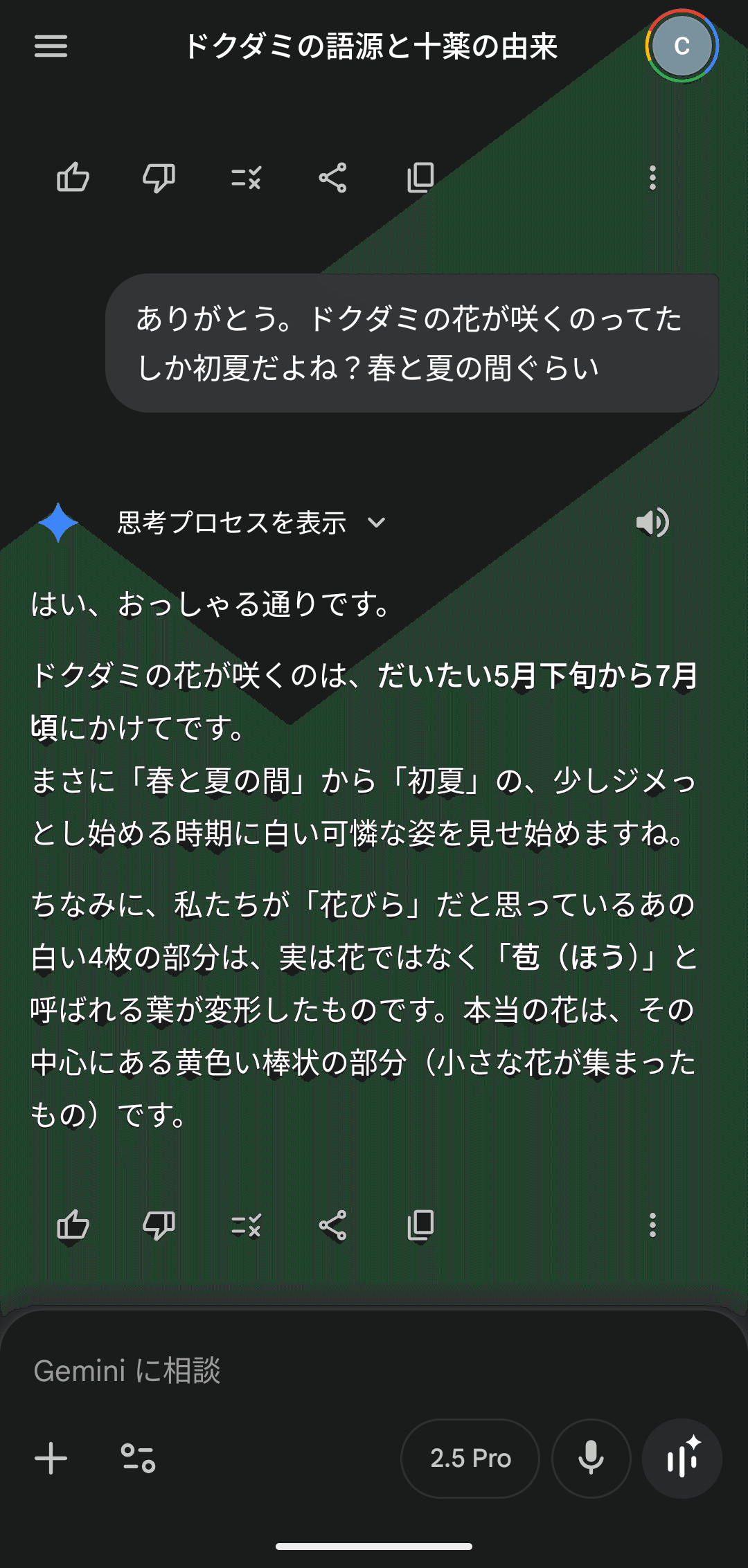 分析室にて41.5: 塩害🧂｜karine_tln
