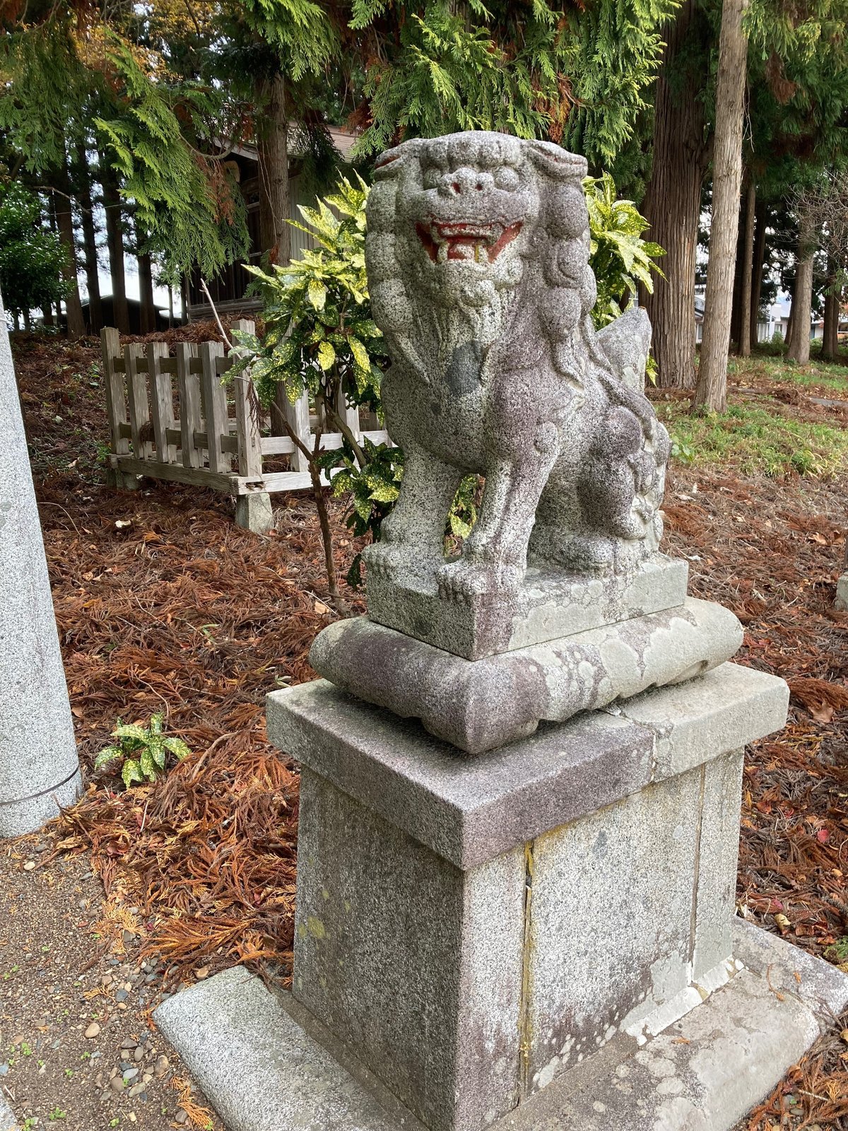 手に入れろ！ドラゴンボール【矢巾町、早池峰神社】｜オールドハリー・ロックス