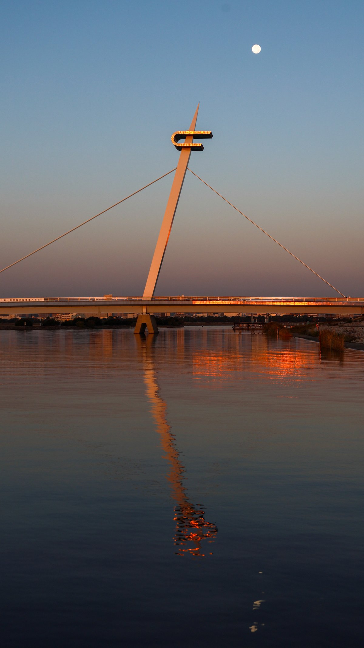 葛西臨海公園公園の朝｜Toru Shiratori