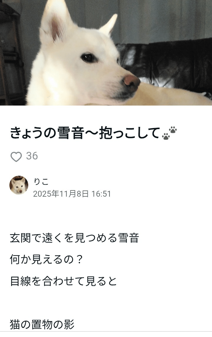 みんなでnote楽しもっ！さんに記事をご紹介いただきました🎵｜りこ