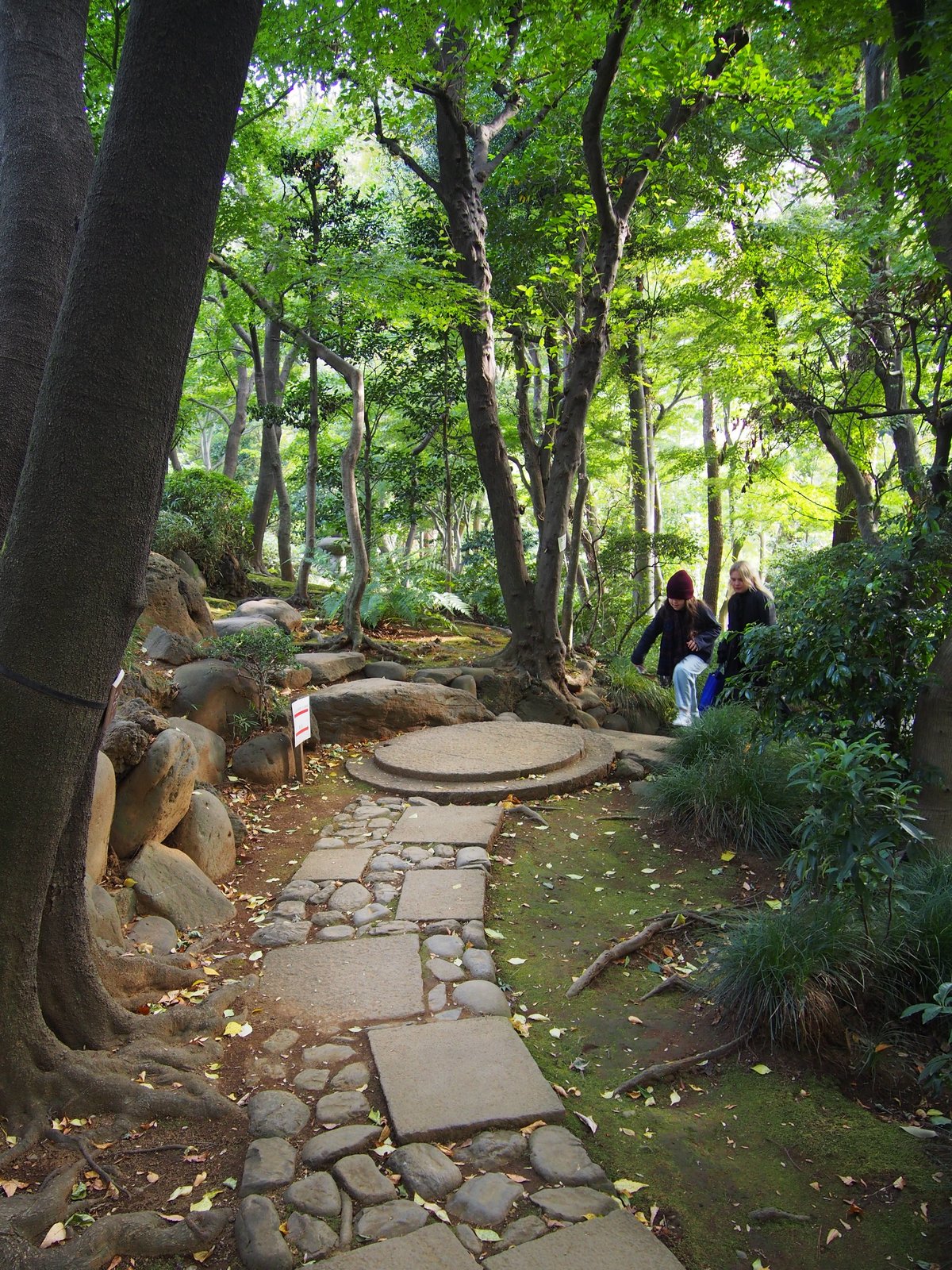近代の豪邸。旧朝倉家住宅の美しい庭園。｜niwa_emon