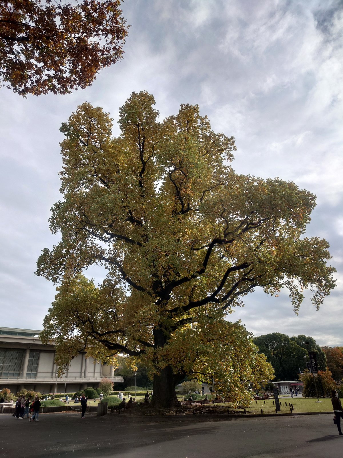上野へお出かけ｜shin