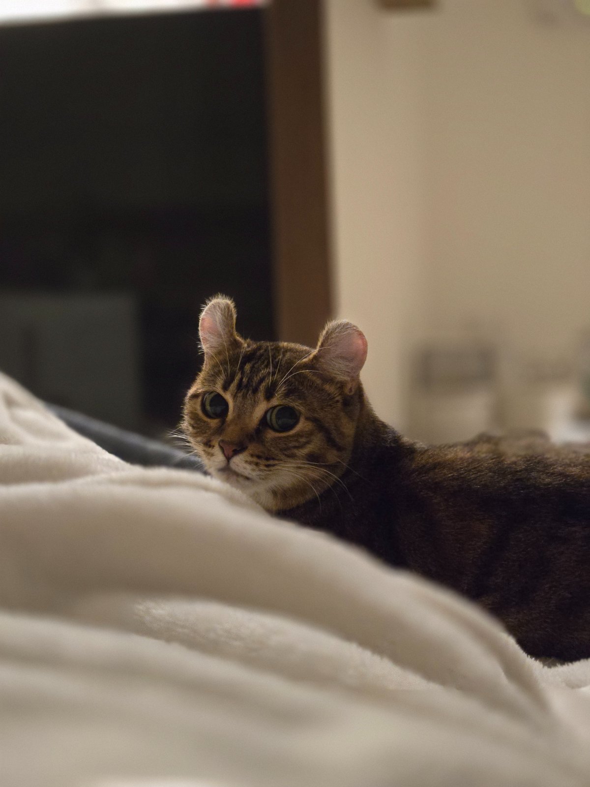 はじめの日｜Yoi