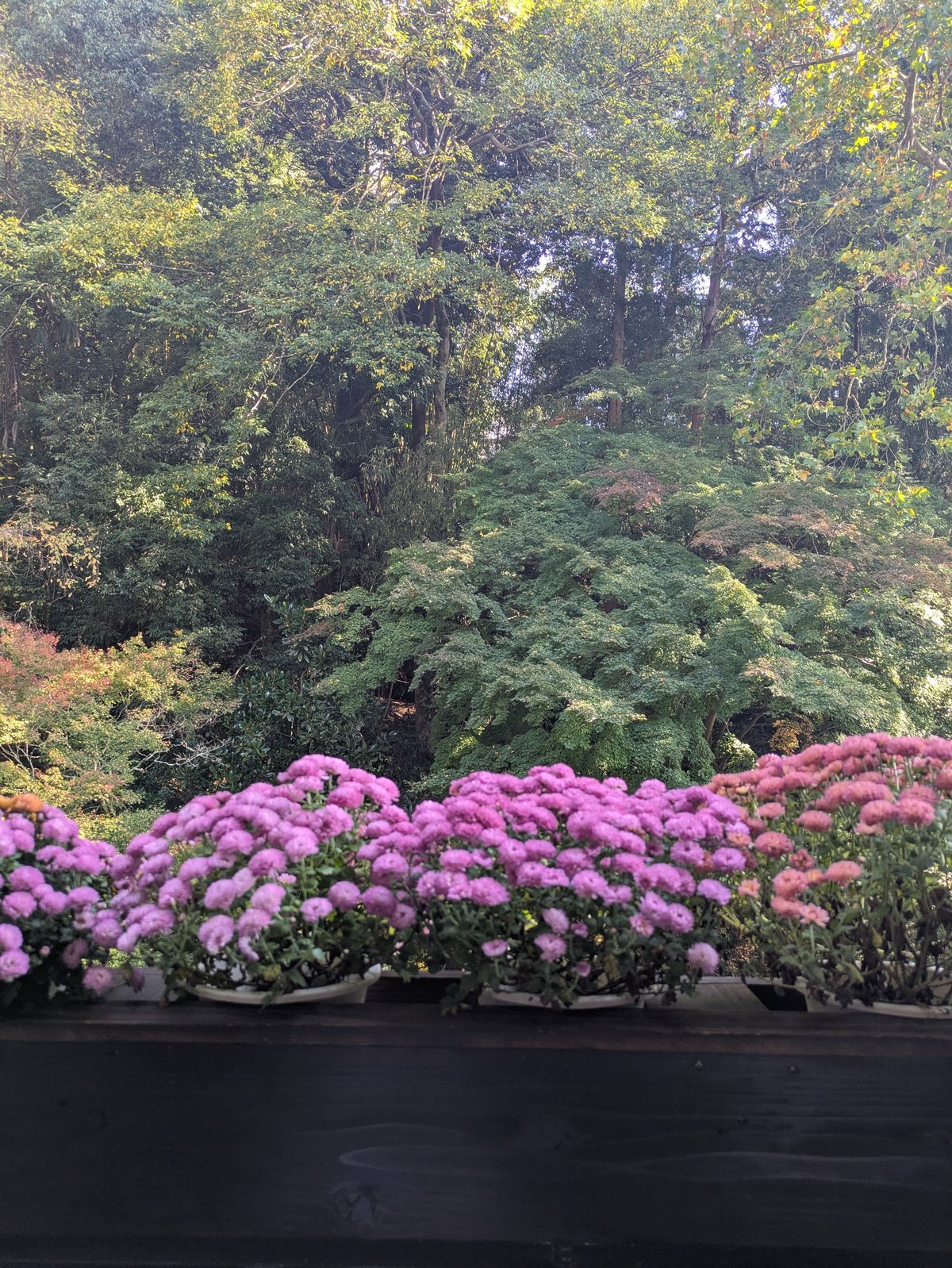 自分で自分を満たすには｜HS-komachan