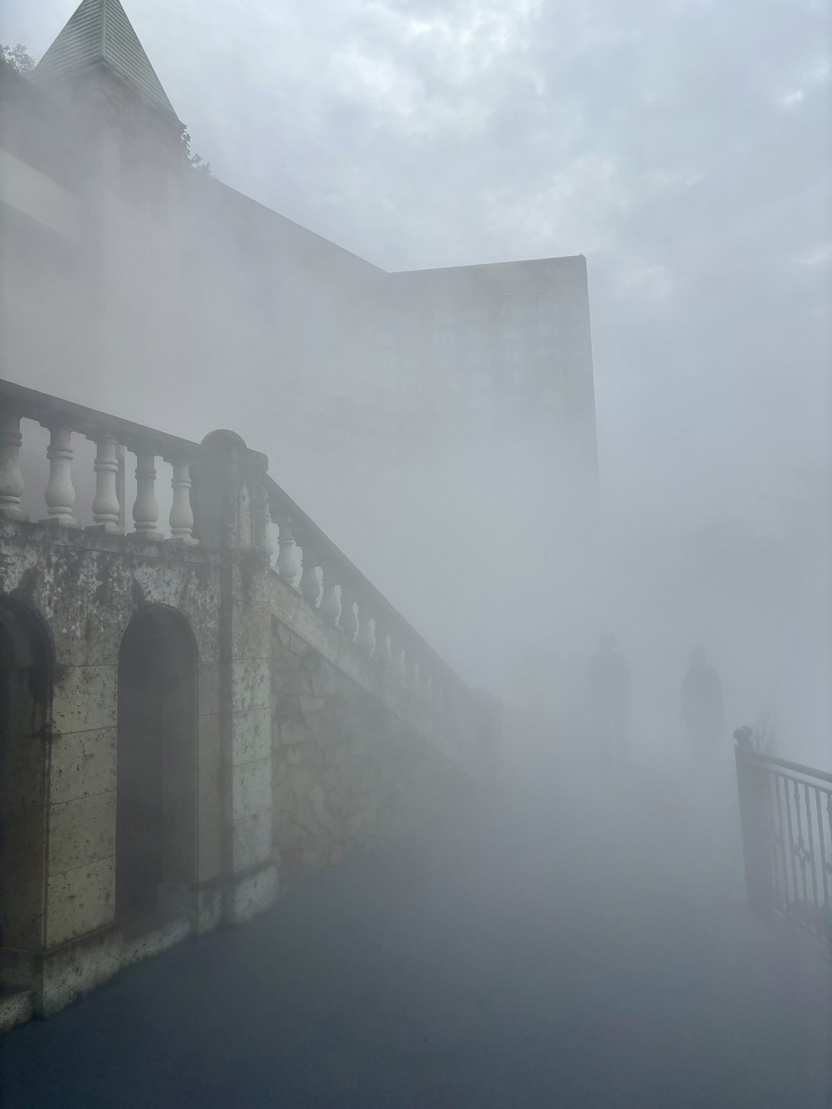 日記（11/3〜11/9）｜みずき