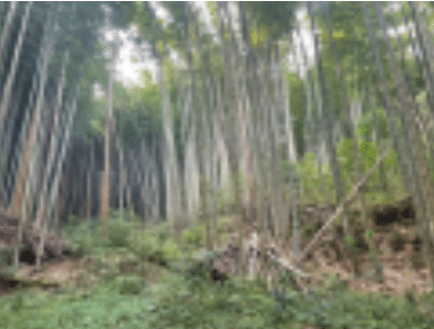 学生支部合宿を行いました！前編｜村おこしNPO法人ECOFF