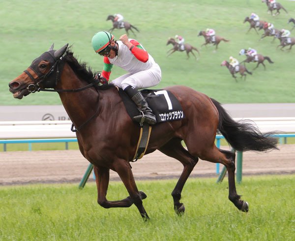 エリザベス女王杯2025｜NIKA