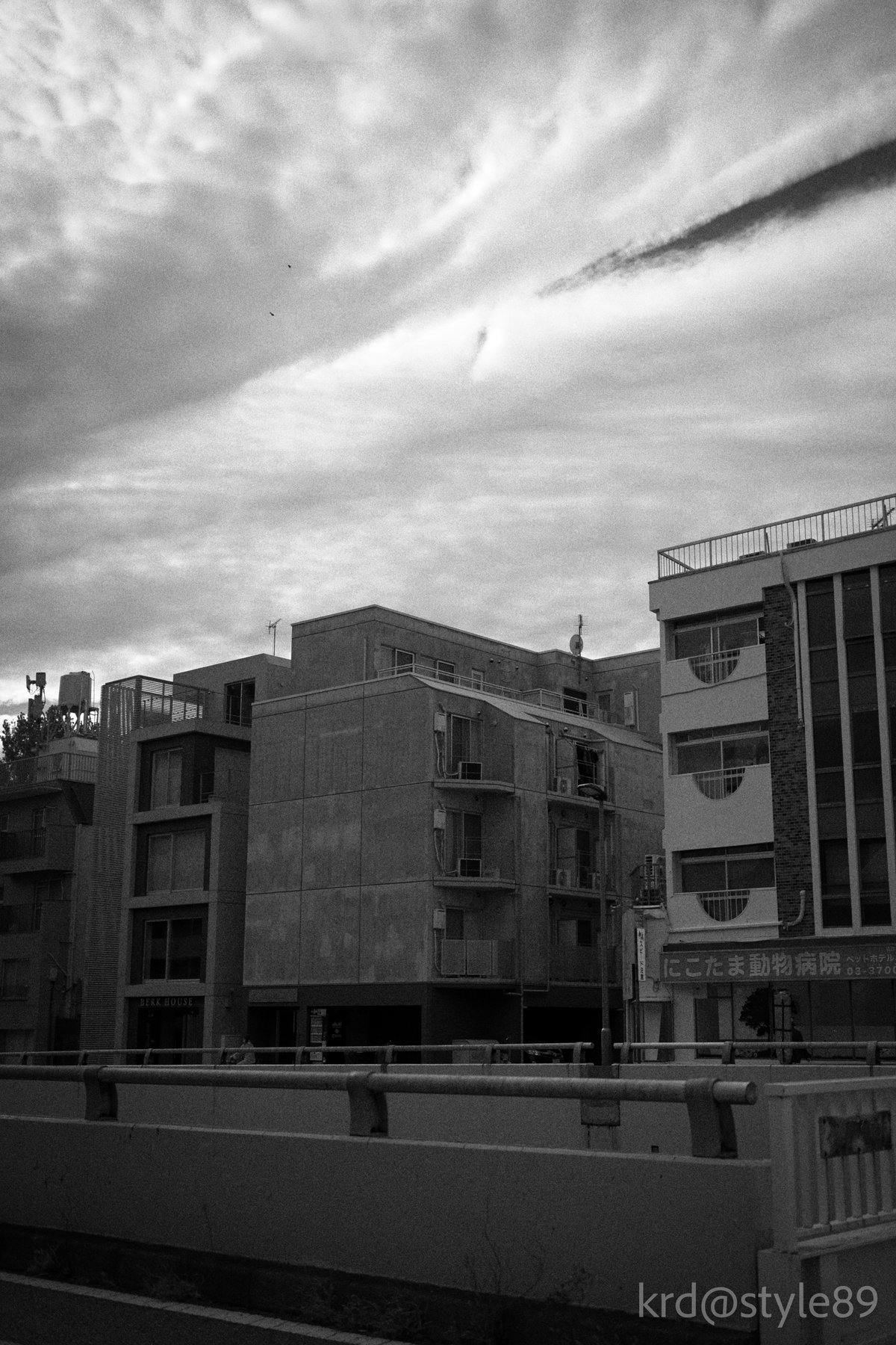 東京散歩 駒沢公園｜krd@style89