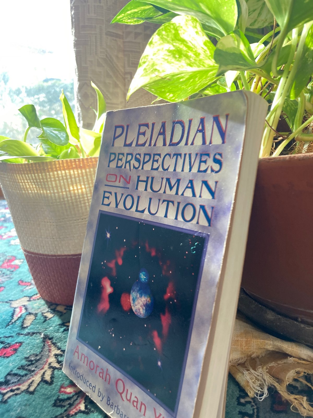 ちょこっと勉強。英語教師,夙川珠子が自分のために作る英単語帳＃005～#006｜夙川珠子