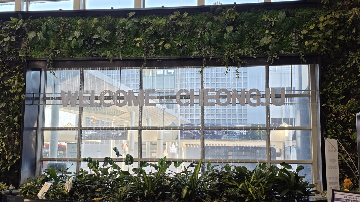 韓国旅行！！｜roko-moko