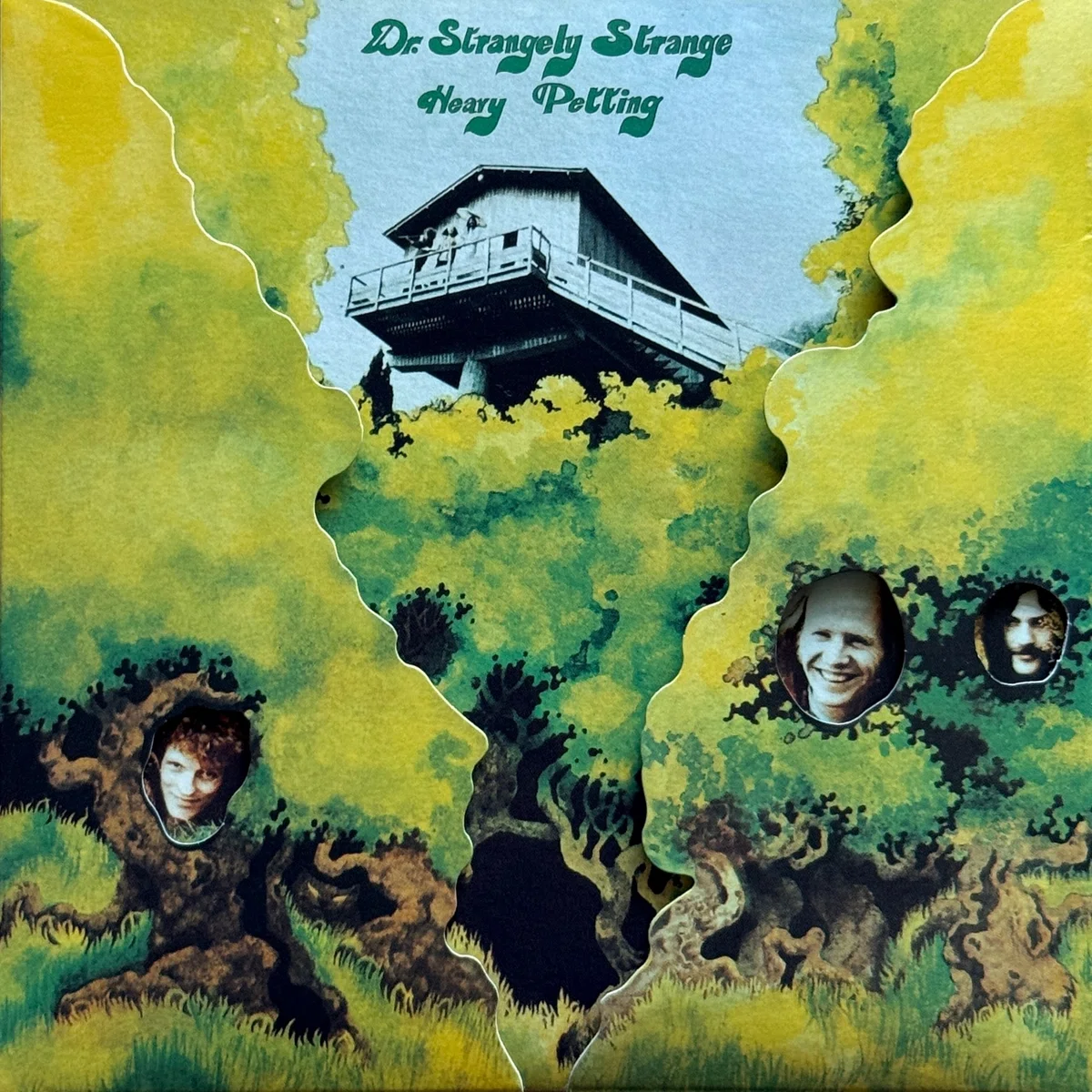 🎧 Dr. Strangely Strange『Heavy Petting』：アイルランド・フォークの異才が放ったサイケデリックな傑作｜店長のりちゃん