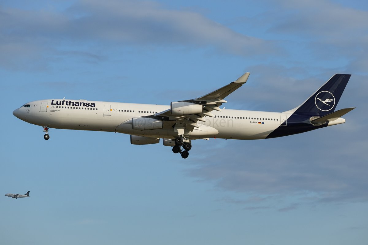 2025 Summer FRA遠征⑤｜すとらと