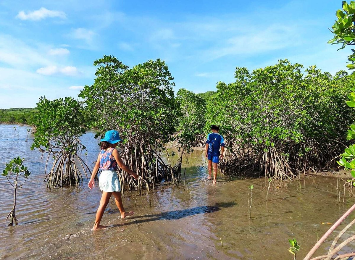 🏝️沖縄県 小浜島🏝️｜naho-21