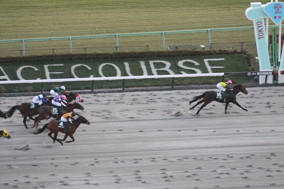 【武蔵野ステークス（GⅢ）回顧】推奨馬ルクソールカフェ1着～相手馬何処へ??｜Haya