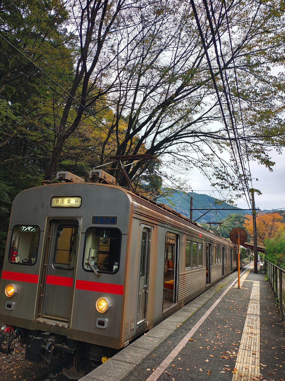 静岡 川根本町 大井川鉄道へ行ってきた🚃𓈒𓂂𓏸｜ichi_coco