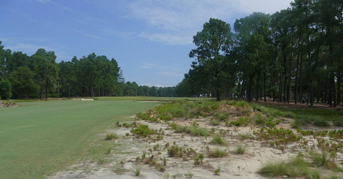 「難しさ」から「多様性」へ ゴルフコース評価の変遷をたどる｜余白のゴルフ