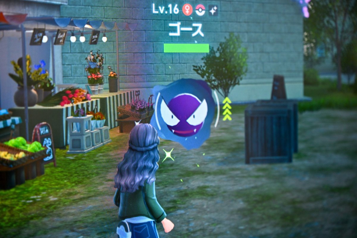 【ポケモンZA】放置でレベル上げ＆色違い厳選！BIGBIGWON CHOCOコントローラーを使った自動化テクニック完全解説｜物欲名古屋人／サラリーマンYoutuber