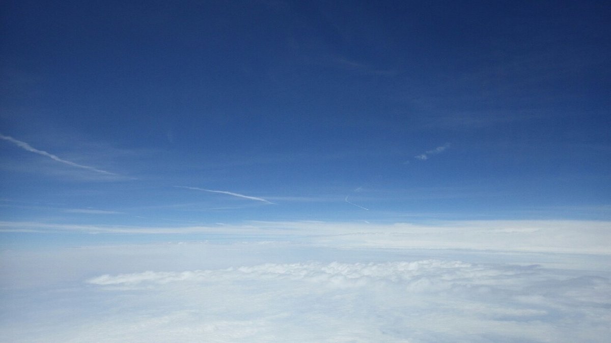 未来感のある一年、どこにいく｜ippei shimamura