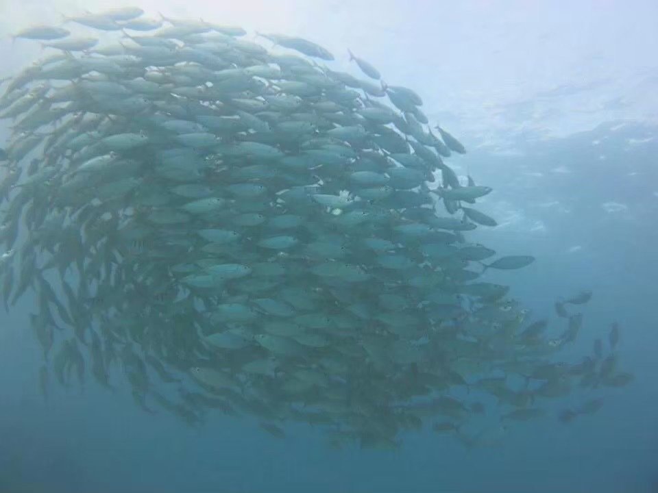 未来感のある一年、どこにいく｜ippei shimamura