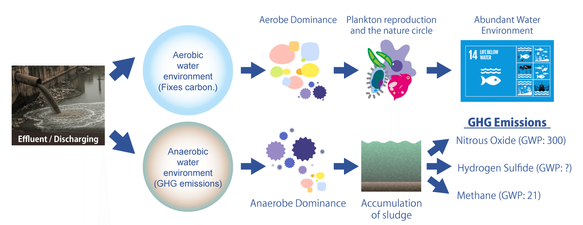 【A New Era Challenge】 Protecting the Earth's Treasure with "Create ...