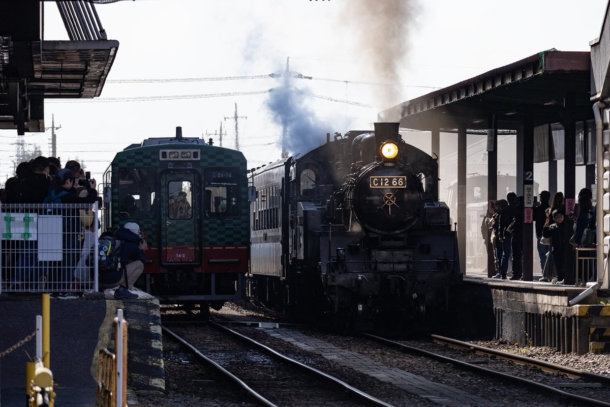 v141, 真岡鐵道：SLもおか号 （2025年）｜ひろやん