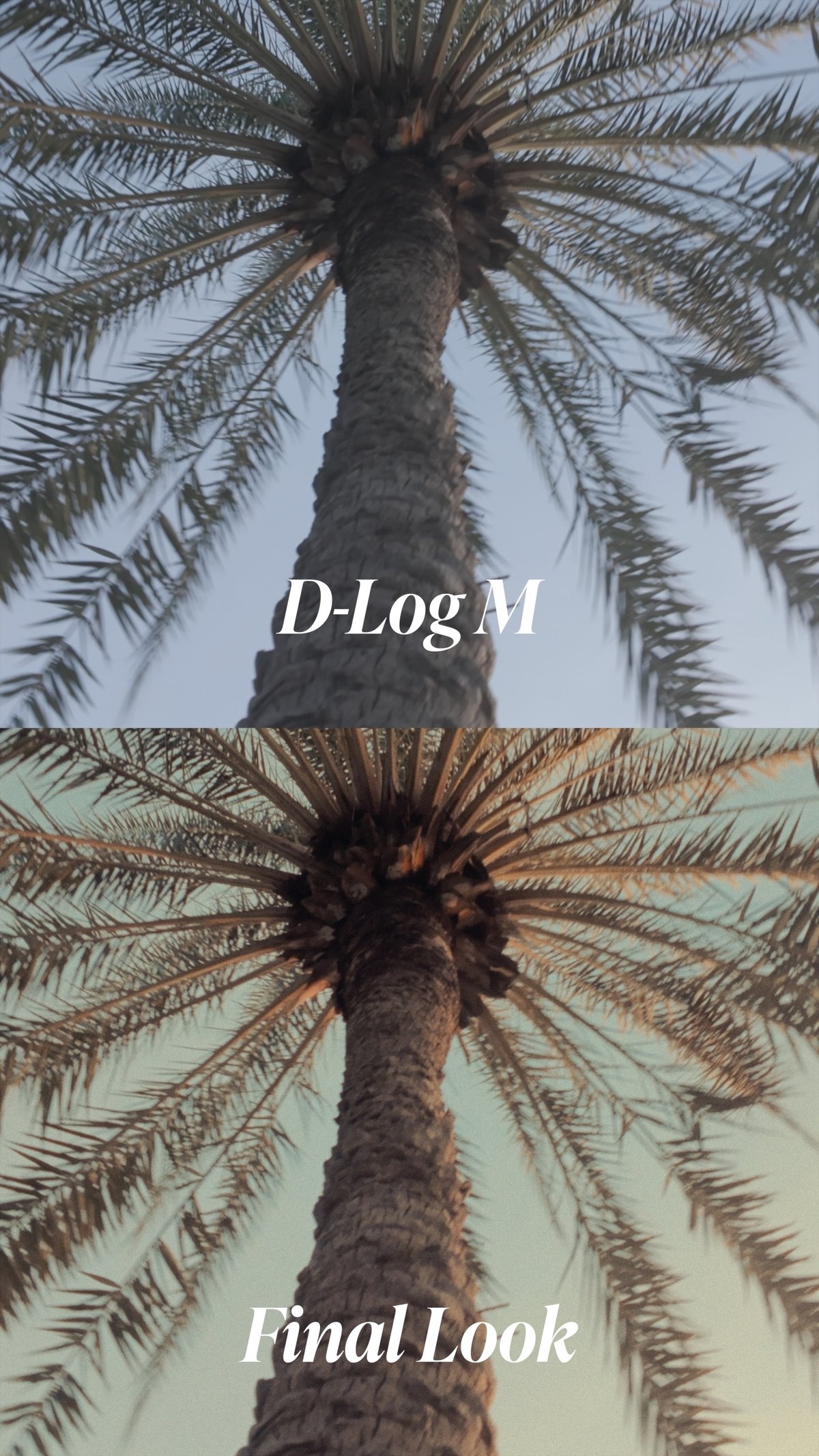 LUT｜BeachSide Coffee｜Action Camera Days