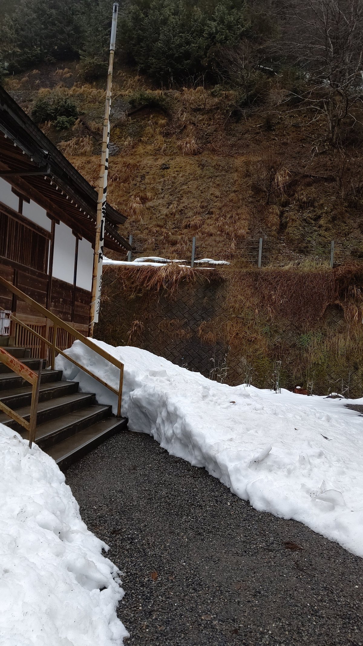 11月18日｜ㅅㅊㅇねえさん（sachiねえさん）