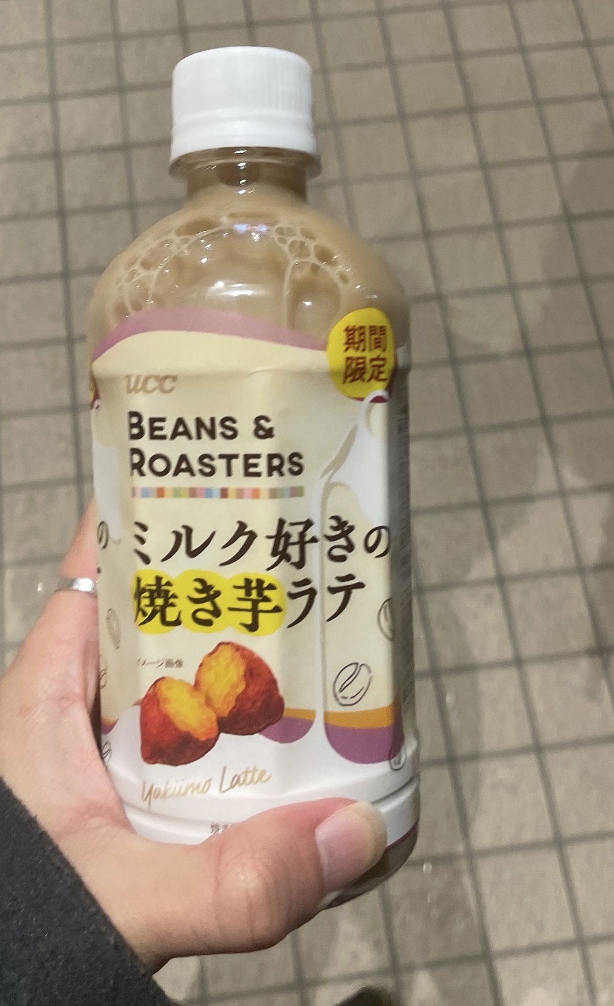 冬近づいてる(2025/11/18)｜月原裡央