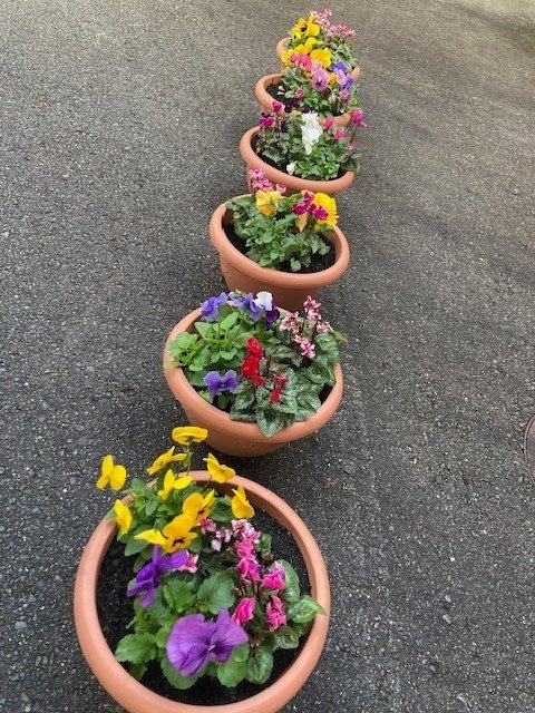 奥津小学校の児童の皆さんから今年もクスマスプレゼントが届きました！｜社会福祉法人 奥津広済会 奥津広済園