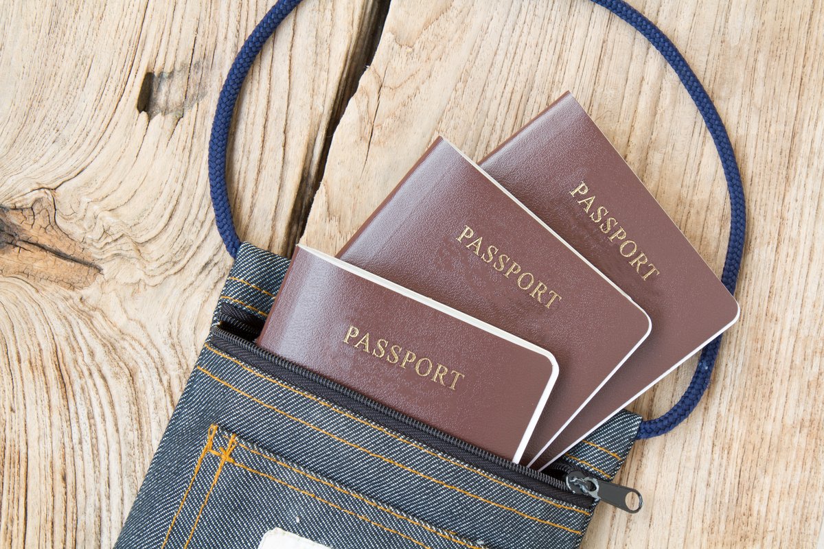 Guide for Lost Passports - 日本でパスポートを紛失したときの対処方法【外国人向け】｜Smile Hope New ...
