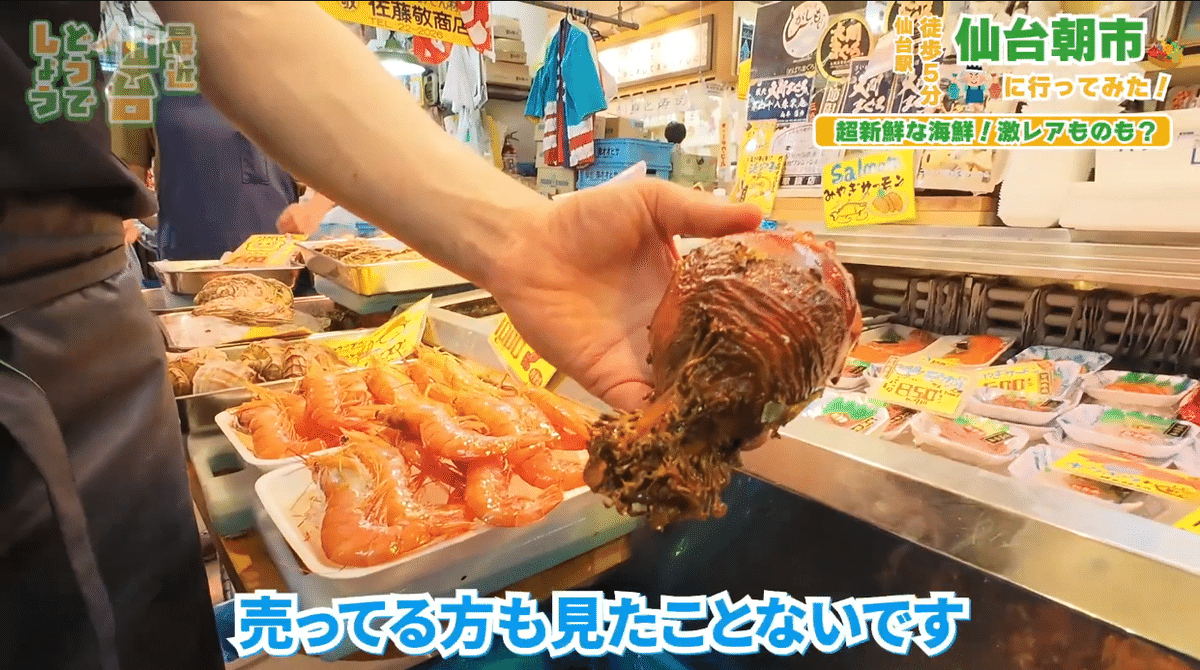 【仙台駅徒歩5分!】市民の台所“仙台朝市”は旬の宝庫だった！｜暮らしのあれこれを分かりやすく紹介『最近、仙台どうでしょう』｜【仙台市】CROSS SENDAI