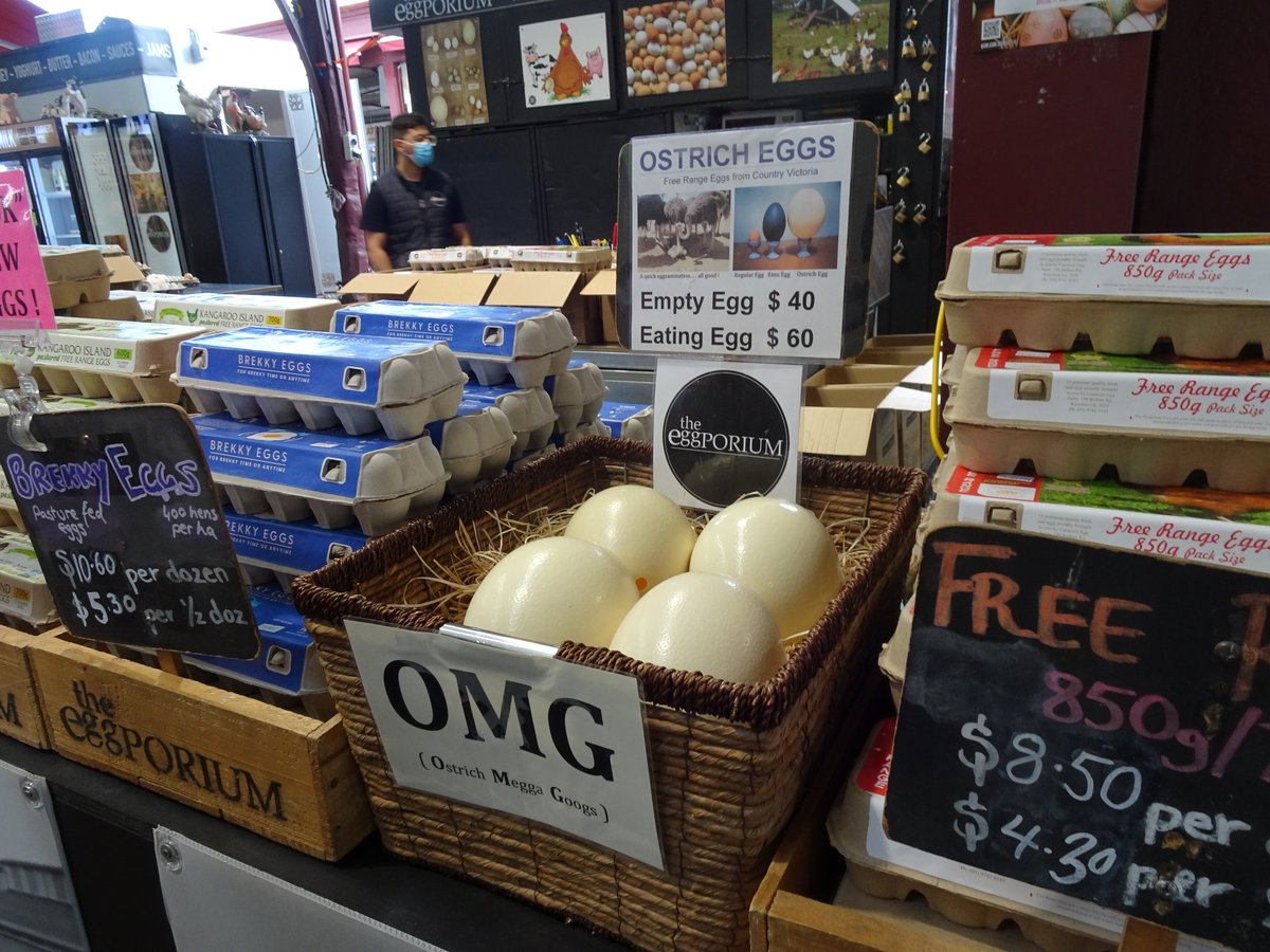 オーストラリアメルボルン旅行記 その3｜honest_hound8794