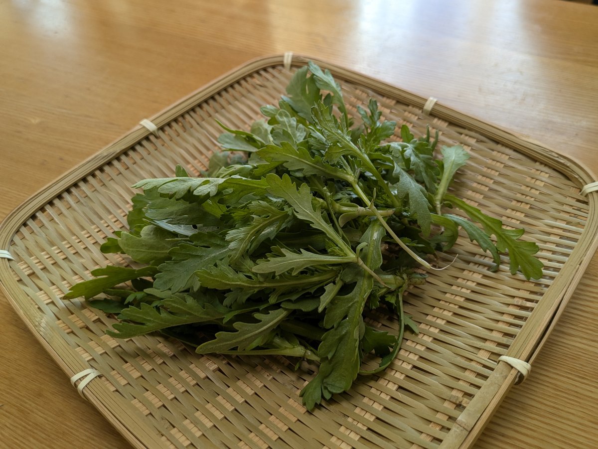 生でも美味しい、春菊のチョレギサラダ｜noboru