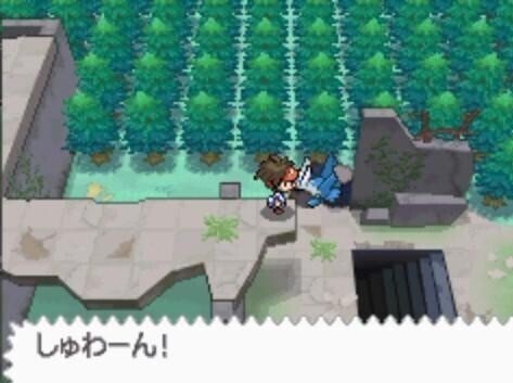 BW・BW2(1) ちょい厳選と育成の話｜イト