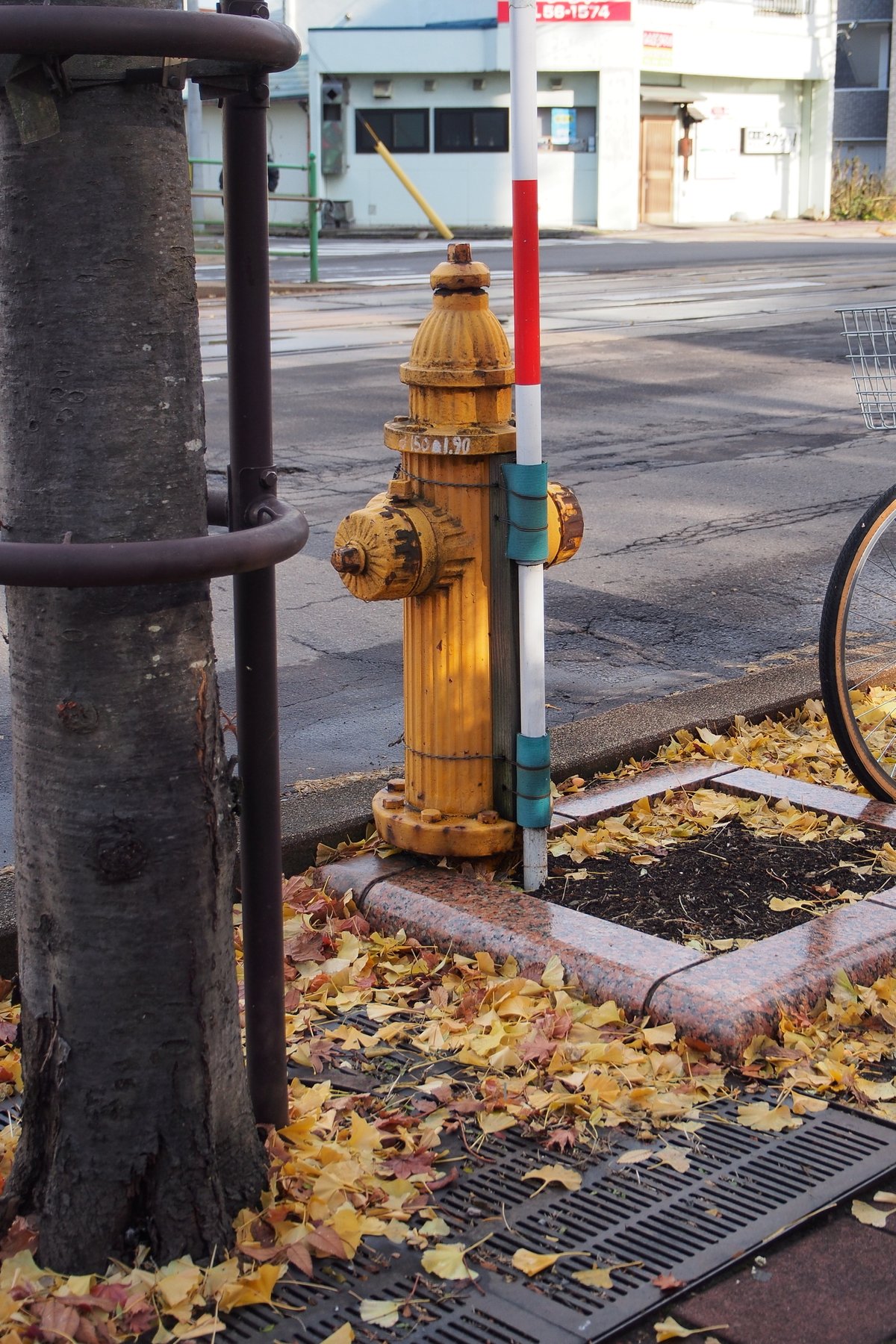 小春日 #1 －Early winter, 2025 in HAKODATE｜Yosuke Enomoto