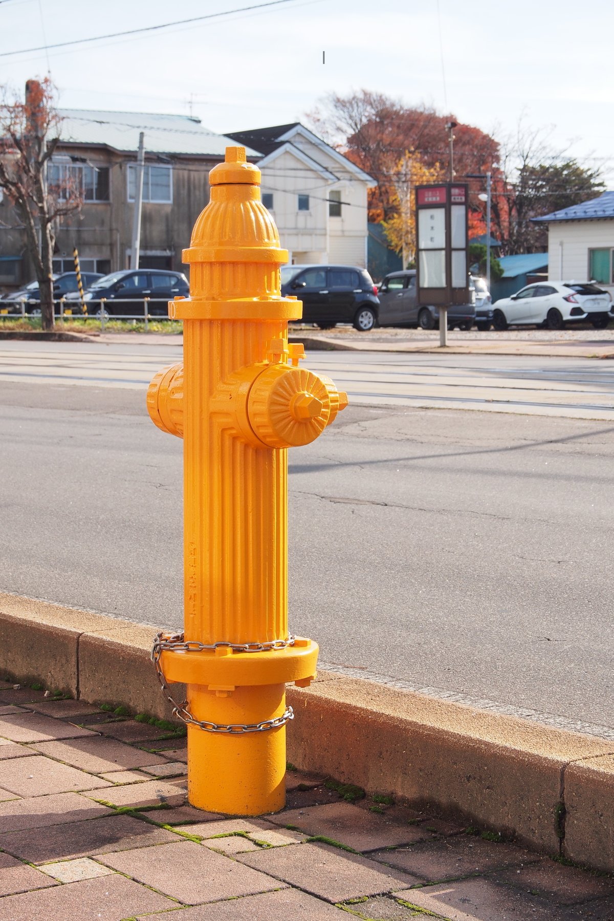 小春日 #1 －Early winter, 2025 in HAKODATE｜Yosuke Enomoto