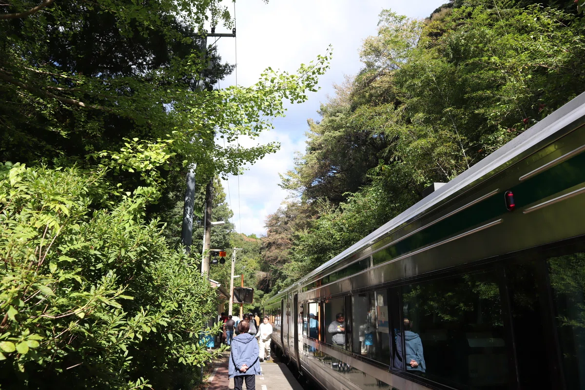 クラブツーリズム鉄道部ツアー JR四国キハ185系国鉄色編成リバイバル南風で高知から高松への鉄分濃厚旅｜ryokichi