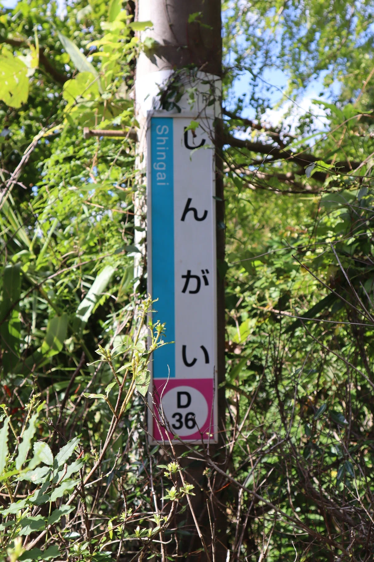 クラブツーリズム鉄道部ツアー JR四国キハ185系国鉄色編成リバイバル南風で高知から高松への鉄分濃厚旅｜ryokichi